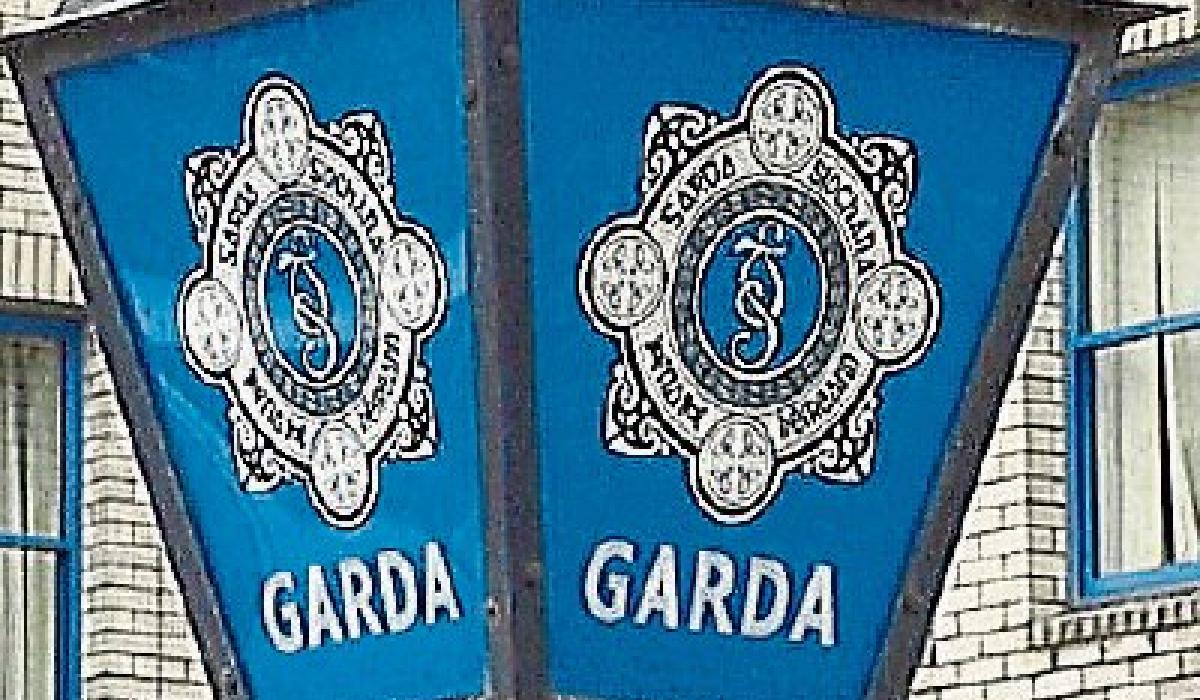 Garda warning after elderly woman followed home and robbed near Naas ...