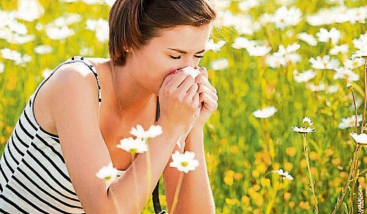 EXPLAINED: How to tell the difference between Covid-19 and hay fever ...