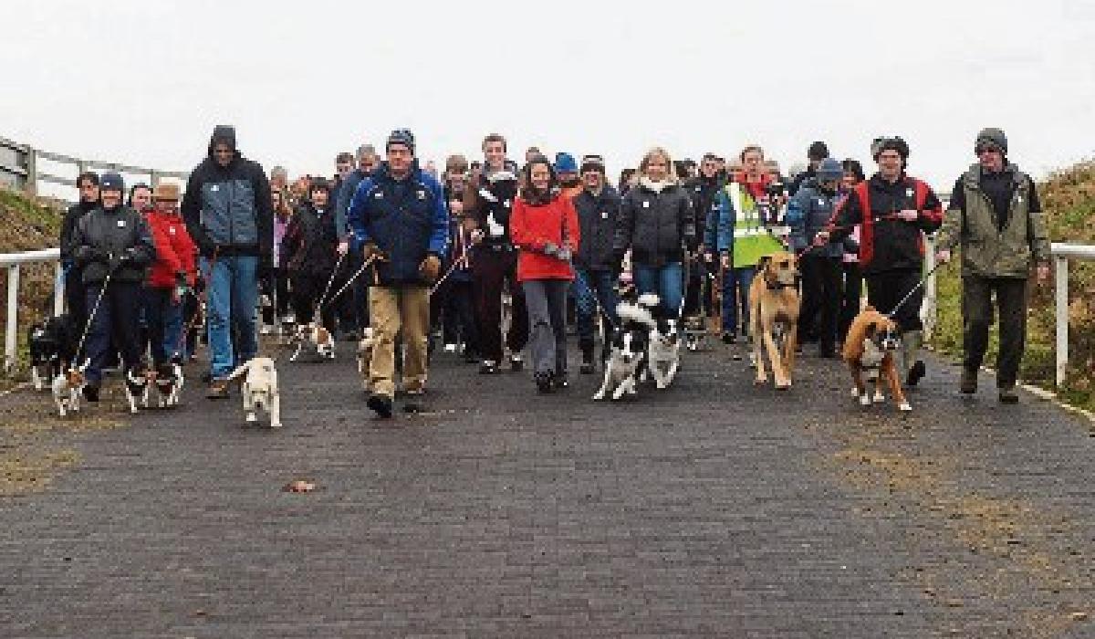 Curragh dog walk set for New Year's Day - Kildare Live