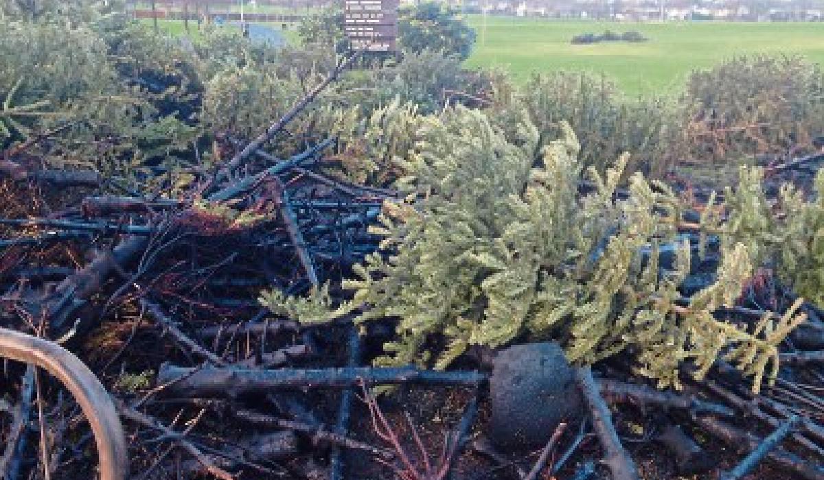 Naas firemen tackle Christmas tree fires at Monread Park - Kildare Live