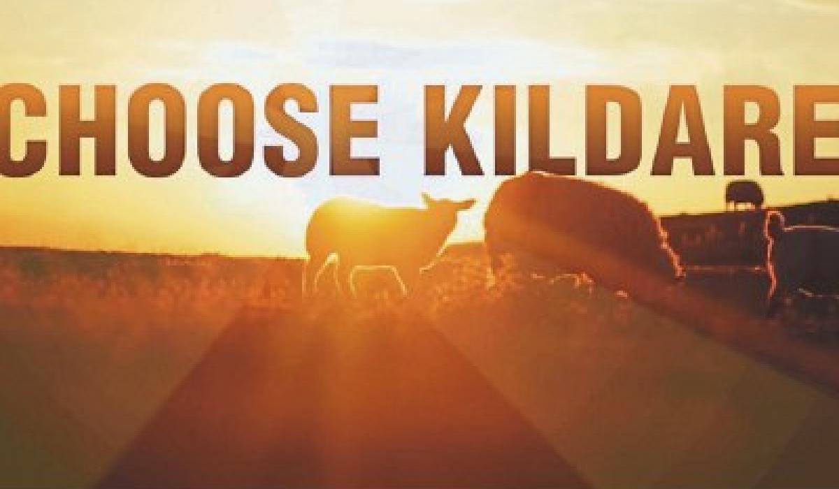 VIDEO: Watch sun-dappled sheep frolicking in sexy new Kildare marketing ...