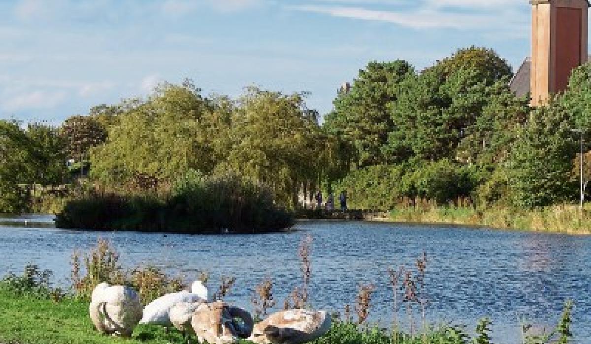 Call for outdoor board games for Naas lakes - Kildare Live