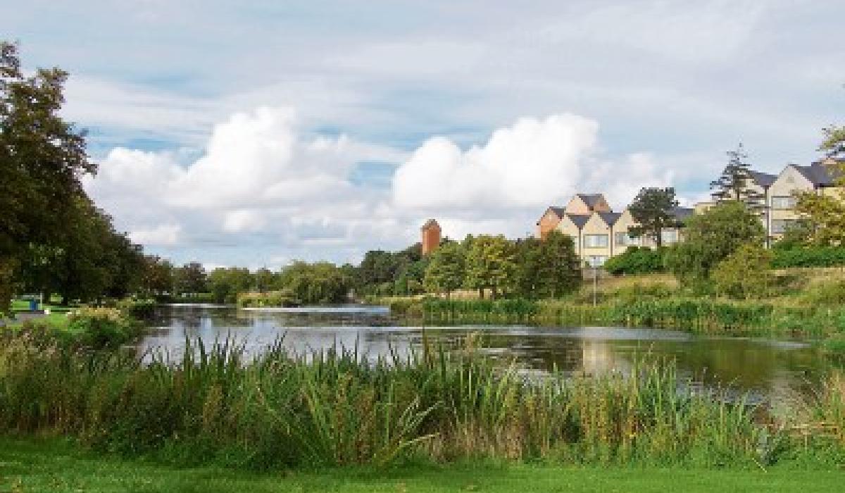 COMMENT: Naas lakes are an oasis of calm in a busy town - Kildare Live