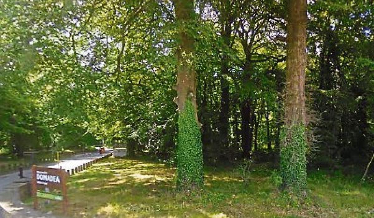 Donadea Forest Park outing - Kildare Live