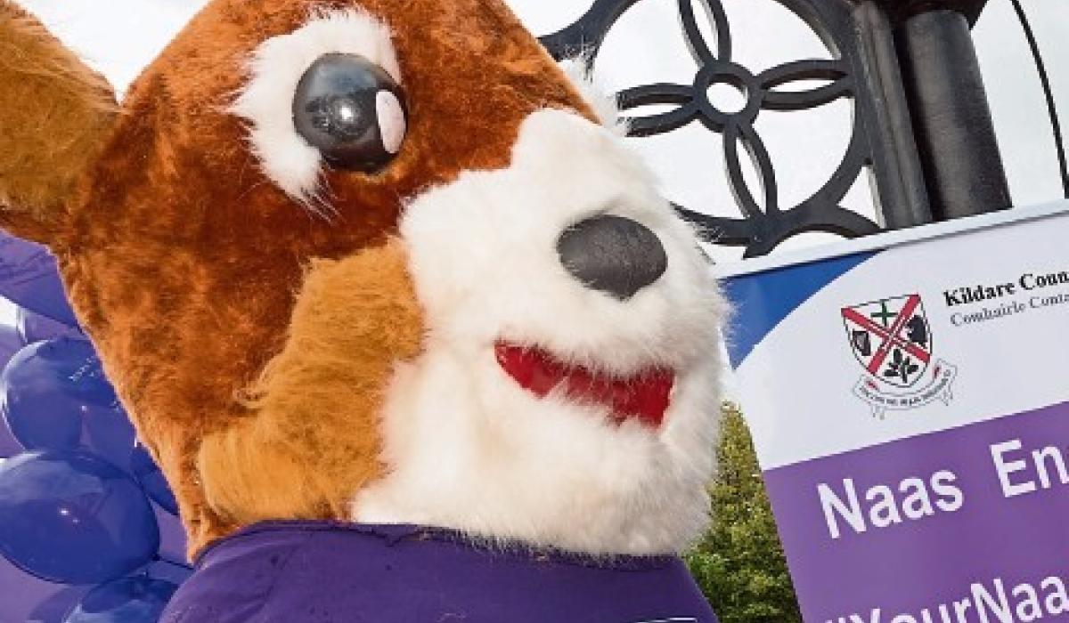 Read with Rua project to be launched at Kildare town library today ...