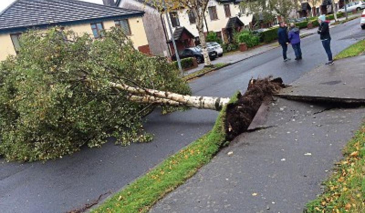 Kildare Opinion: Weather warnings are great but they aren't what they ...