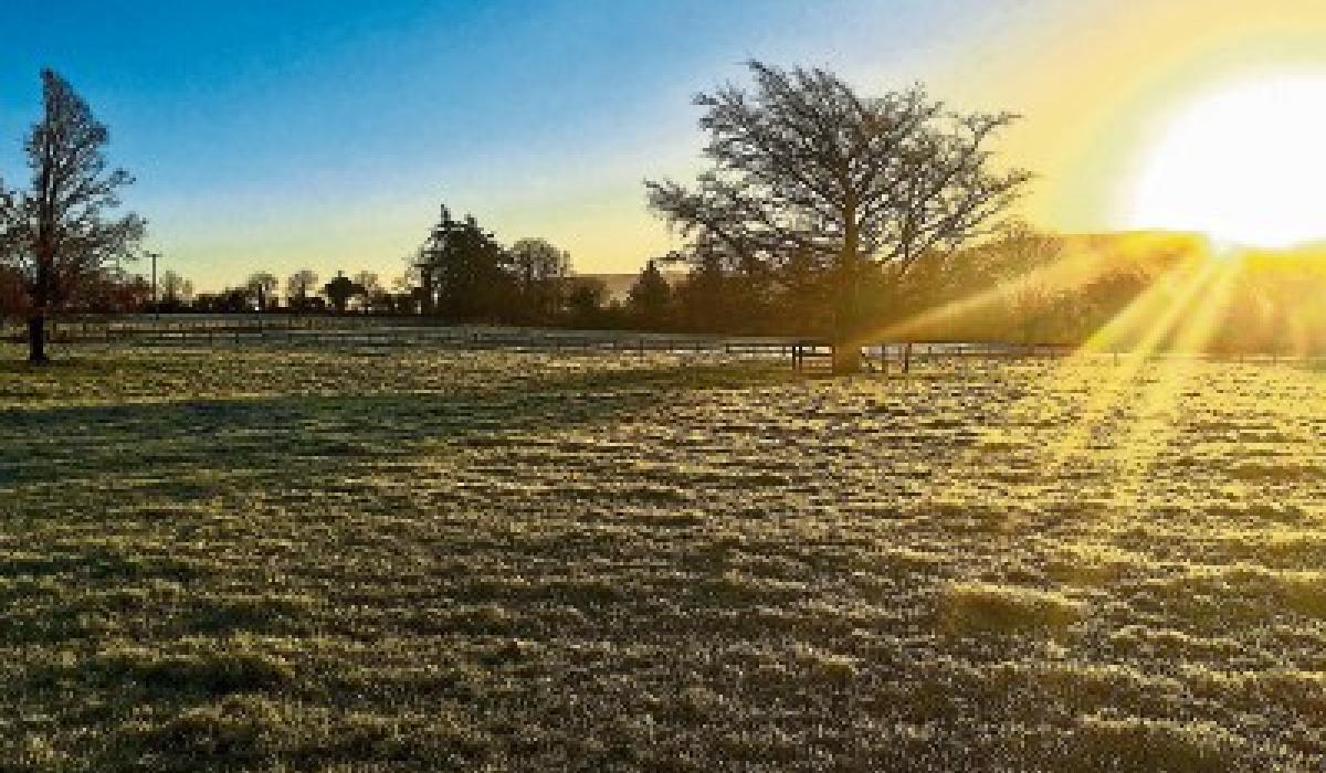Sunny and warm weather for Co. Kildare today - Kildare Live