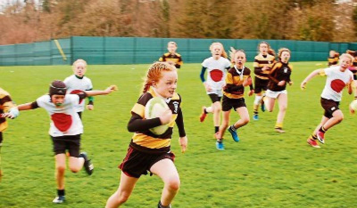 Kildare girls invited to try out rugby this summer with Newbridge Rugby ...
