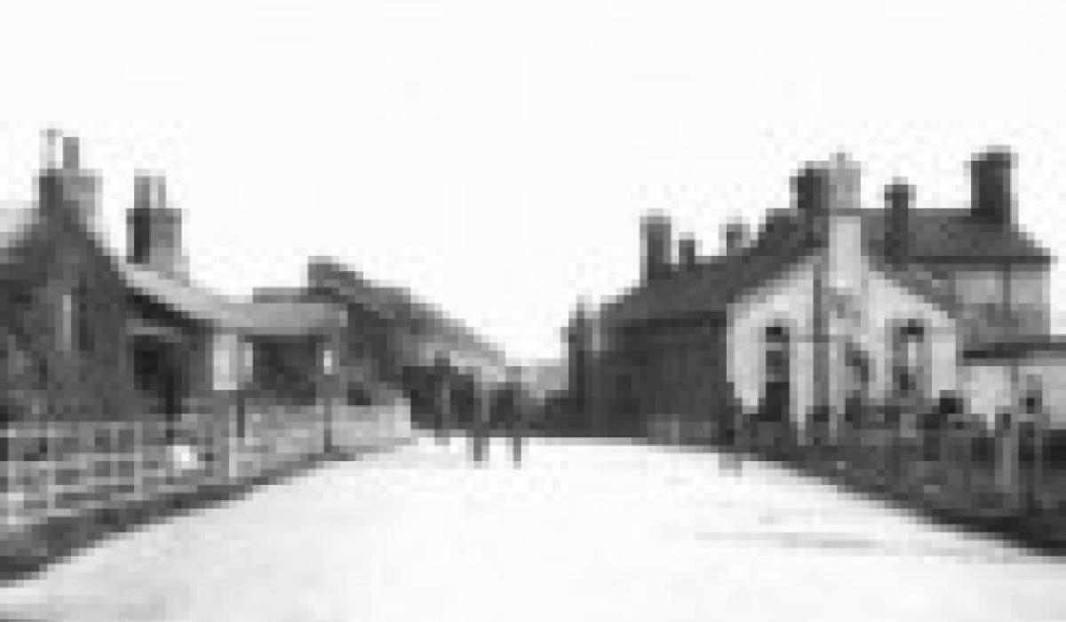 Lynx-eyed hacks at Curragh mutiny - Kildare Live