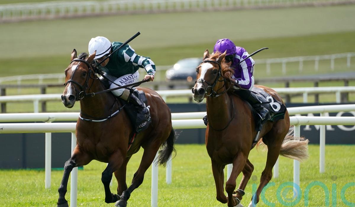 Harrington in no rush to make any definitive future plans for Magical ...