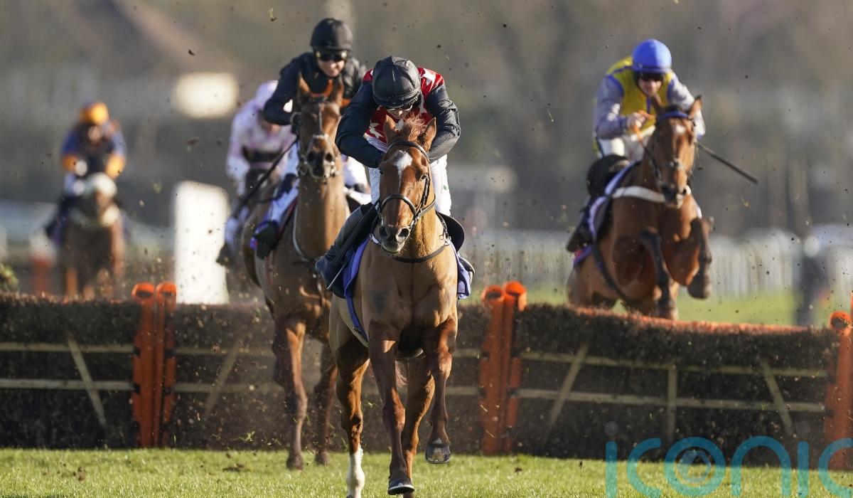 Shark Hanlon trained Cape Gentleman set to enjoy happy retirement in ...