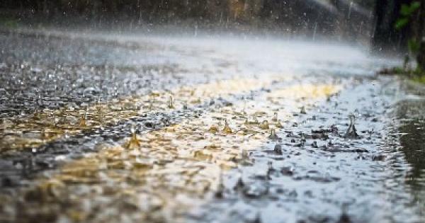It will be dry today with rain later - Leinster Leader