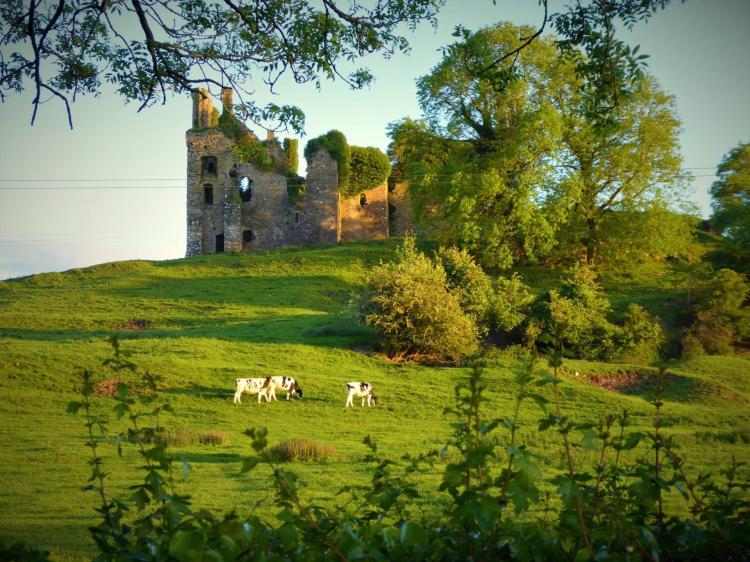 READER PICTURES: Kildare's Carbury Castle is steeped in history - Photo ...