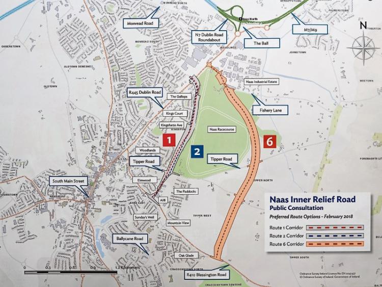 KILDARE REVIEW 2018: Opposition to Naas relief road - Leinster Leader