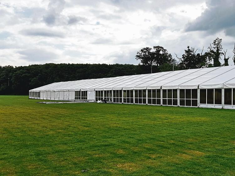 Kildare rugby club Barnhall celebrates 50 years with huge event this ...