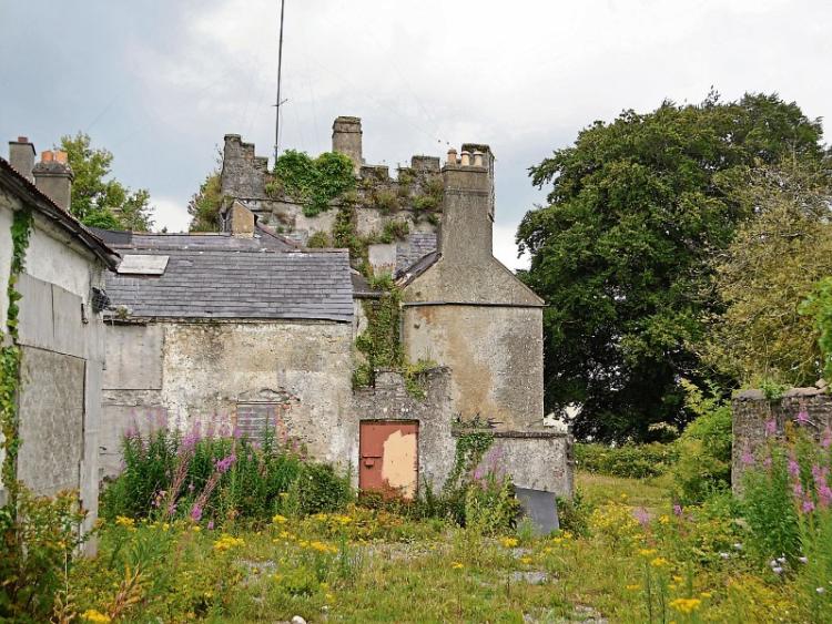 Condition of historic Naas castle to be examined by Kildare County ...