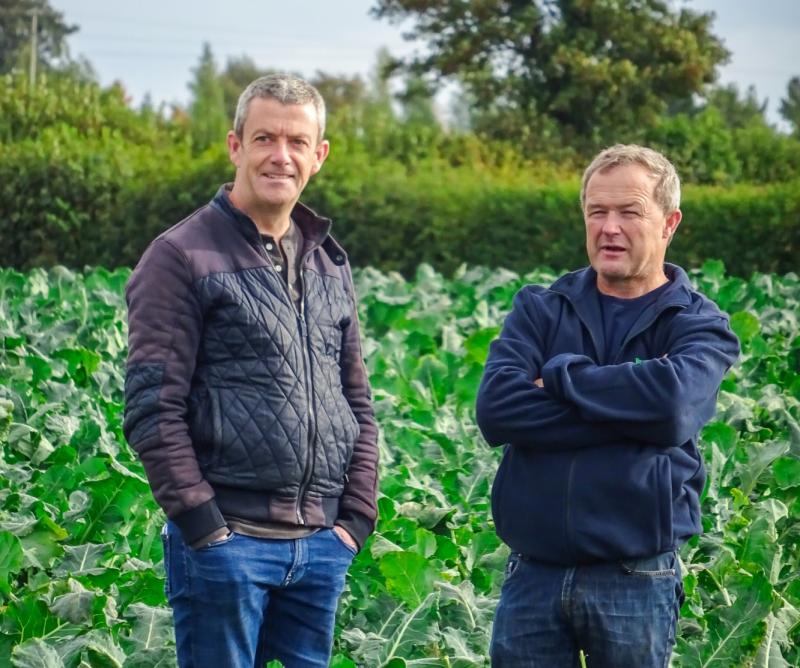 Kildare to feature on RTE show about growing food - Kildare Live