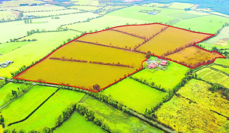 Online auction sees Prosperous land fetch €13k per acre - Kildare Live