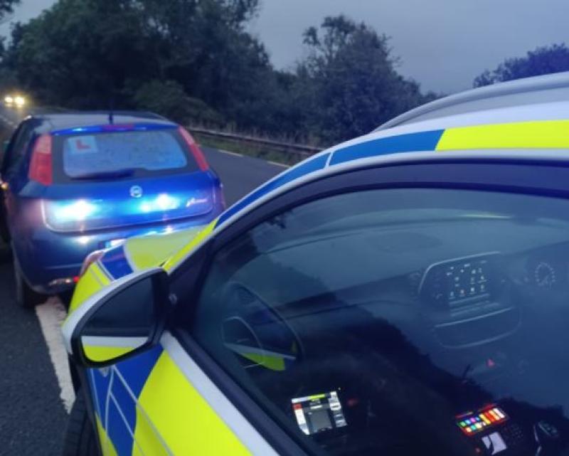 PHOTOS: Drunken driver had to be helped into Naas garda car after being ...