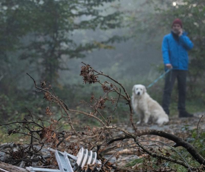 ESB issues warning about fallen power lines in Kildare - Kildare Live