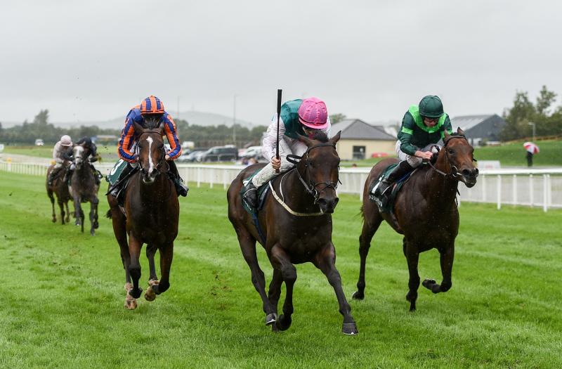 The Curragh hosting star-studded lineup for Keeneland Phoenix Stakes ...