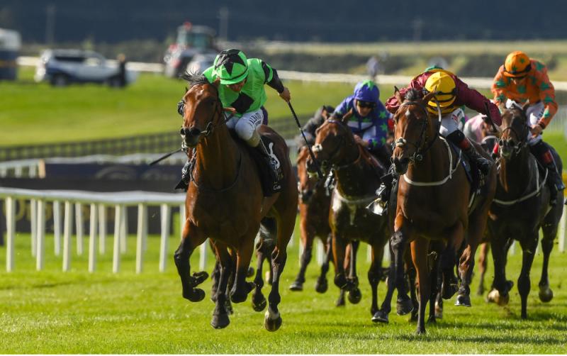 Boughey and Haggas target The Curragh as Flat season returns to Kildare ...