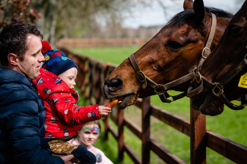 Irish Racehorse Experience at Kildare's National Stud & Gardens ...