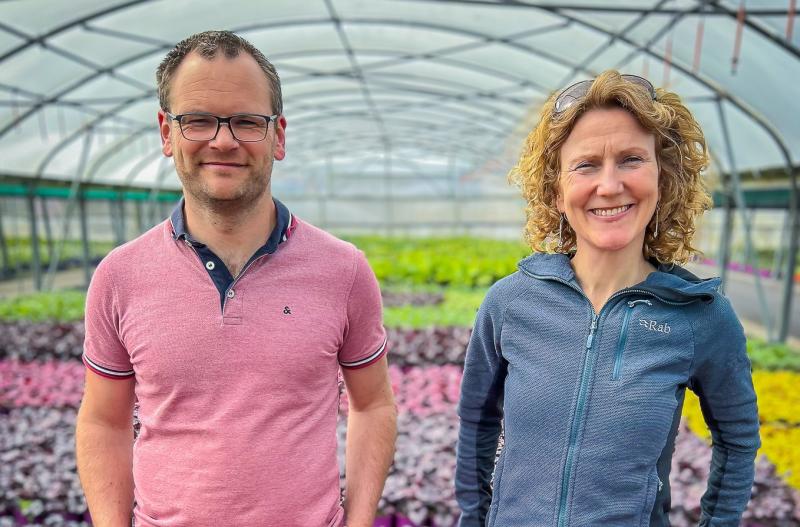 RTE horticulture series visits plant business in Kildare - Kildare Live