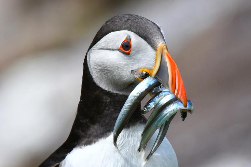 Local photographers invited to enter world’s largest free photo ...