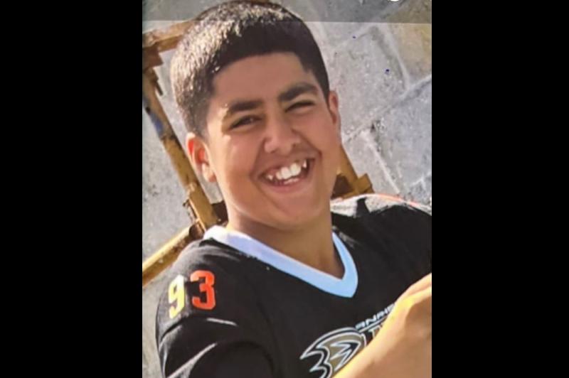 Gardaí continue their search for missing teen spotted unexpectedly ...