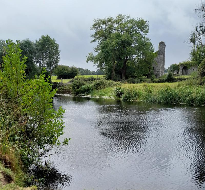 Pedestrian bridge must be built over the River Liffey in Kildare - Kildare Live