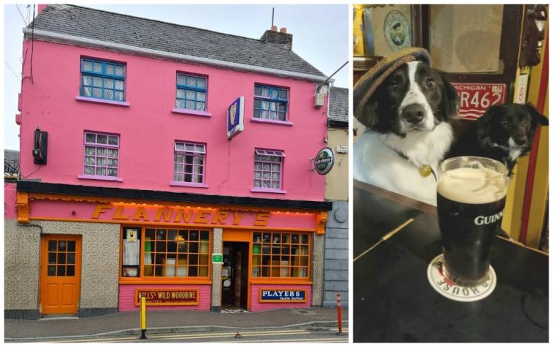 Shneaky Sip: Skip Sean’s Bar - you’d be barking mad to miss the chaotic ...