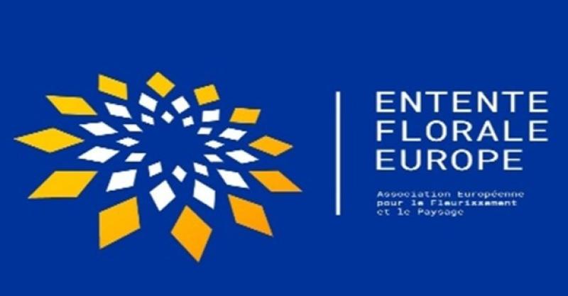 Kildare town to represent Ireland in prestigious Entente Florale Europe ...