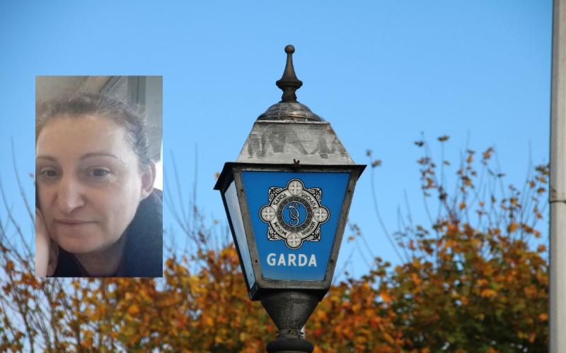 Gardai issue missing persons appeal for woman (43) who went missing just outside Kildare border ...