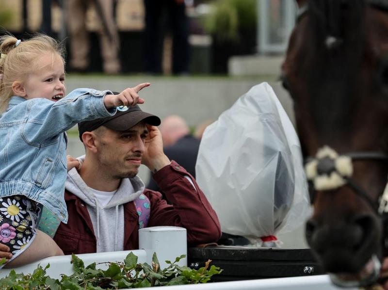 Free entry for all to the Curragh on Saturday for Phoenix Stakes Family ...