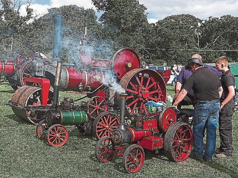 Fifty five steam engines for 55th Stradbally Steam Rally - Kildare Live