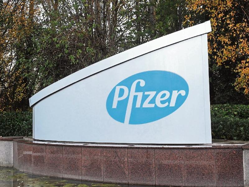 ESB express interest in constructing temporary road on grounds of ...