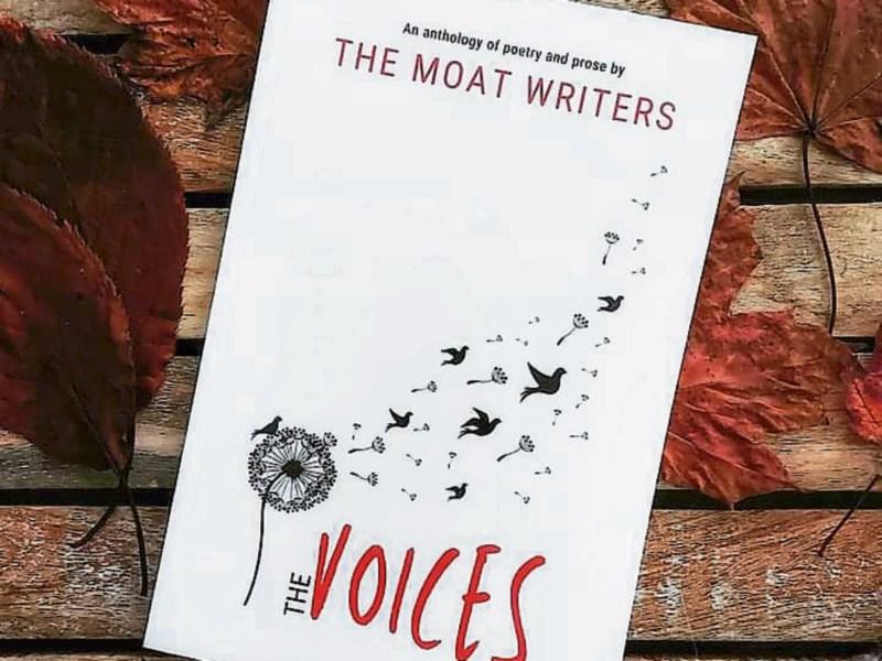 Kildare's Moat Writers launch lockdown anthology of stories and poetry ...