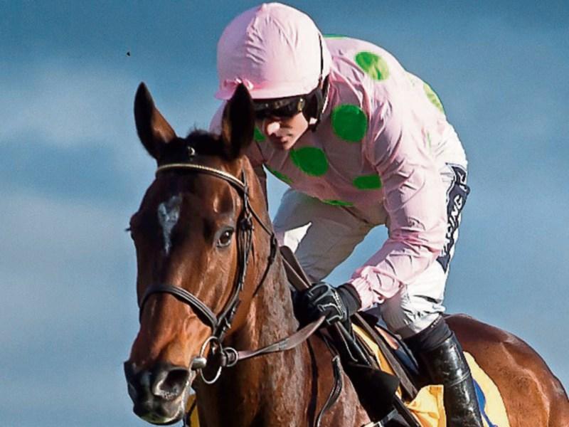 Douvan out to make it 13 wins at Punchestown on Sunday - Kildare Live