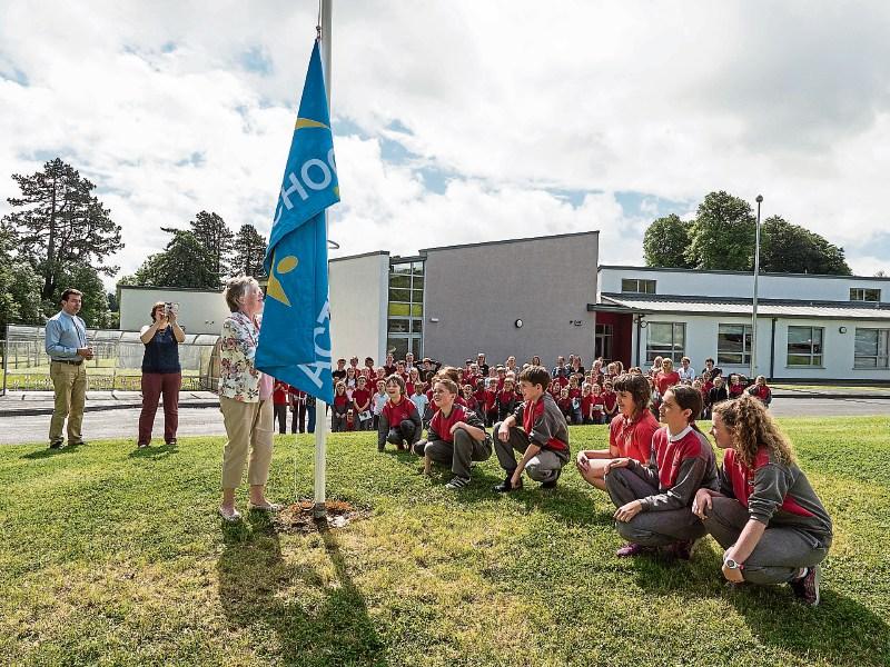 Active flag for Naas school - Kildare Live
