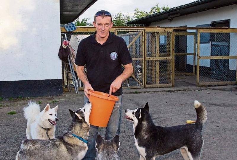 Dublin Husky Rescue Centre, at the Curragh, issues desperate appeal as ...