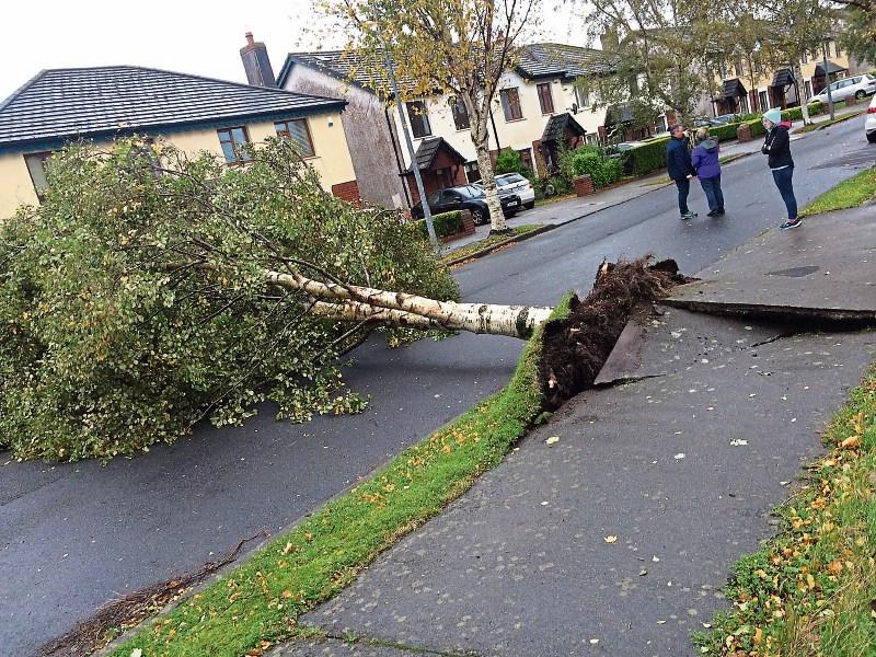 Kildare Opinion: Weather warnings are great but they aren't what they ...