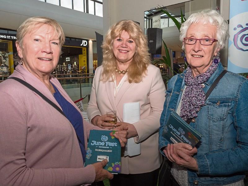 Gibbeth Rath 1798 talk to take place in Newbridge - Kildare Live