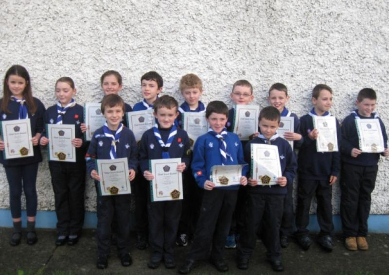 Naas award winning beavers become cubs - Kildare Live