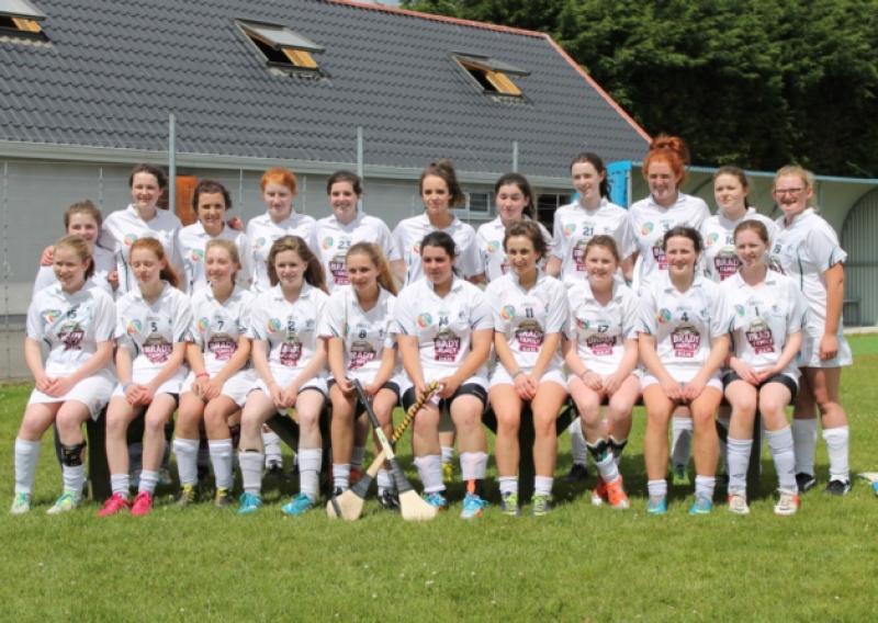 Comprehensive win for young Camogie girls - Kildare Live