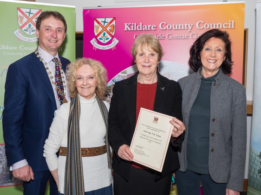 PHOTO GALLERY: Kildare Pride of Place and Tidy Towns awards - Photo 1 ...