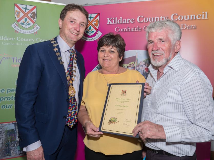 PHOTO GALLERY: Kildare Pride of Place and Tidy Towns awards - Photo 1 ...