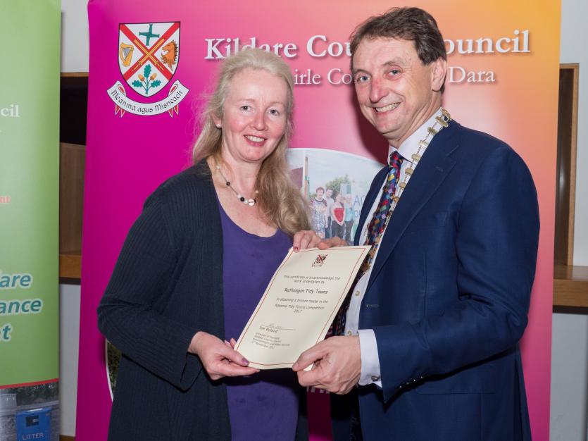 PHOTO GALLERY: Kildare Pride of Place and Tidy Towns awards - Photo 1 ...