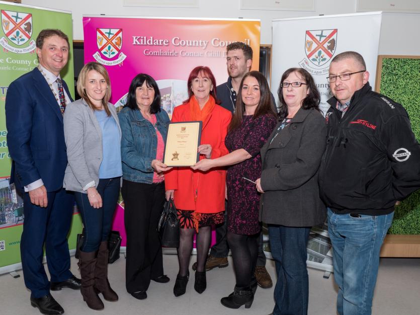 PHOTO GALLERY: Kildare Pride of Place and Tidy Towns awards - Photo 1 ...