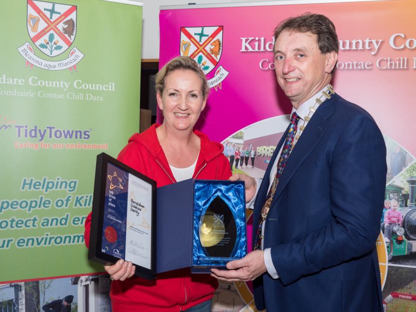 PHOTO GALLERY: Kildare Pride of Place and Tidy Towns awards - Photo 1 ...
